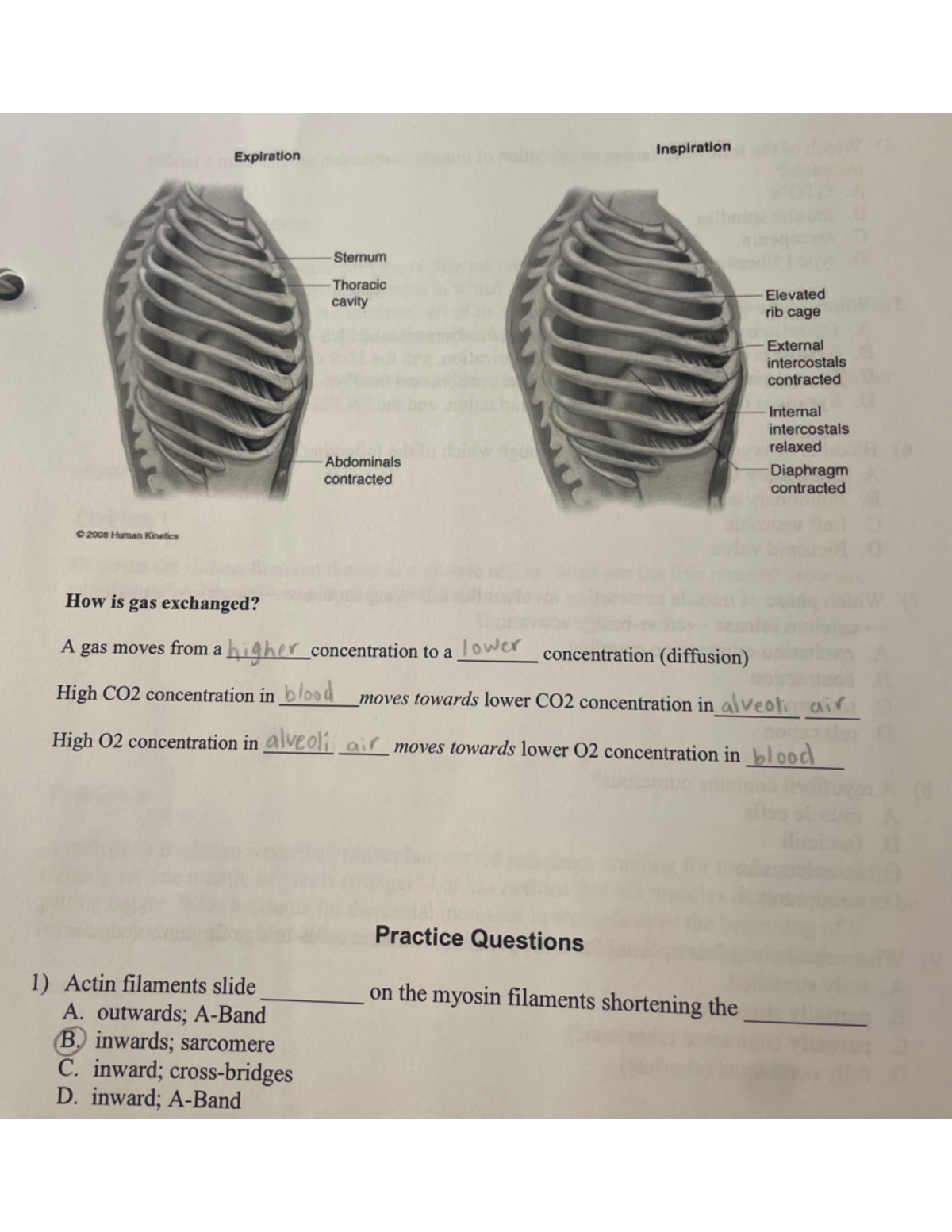 Chapter One Lecture Notes Exs 410 Studocu