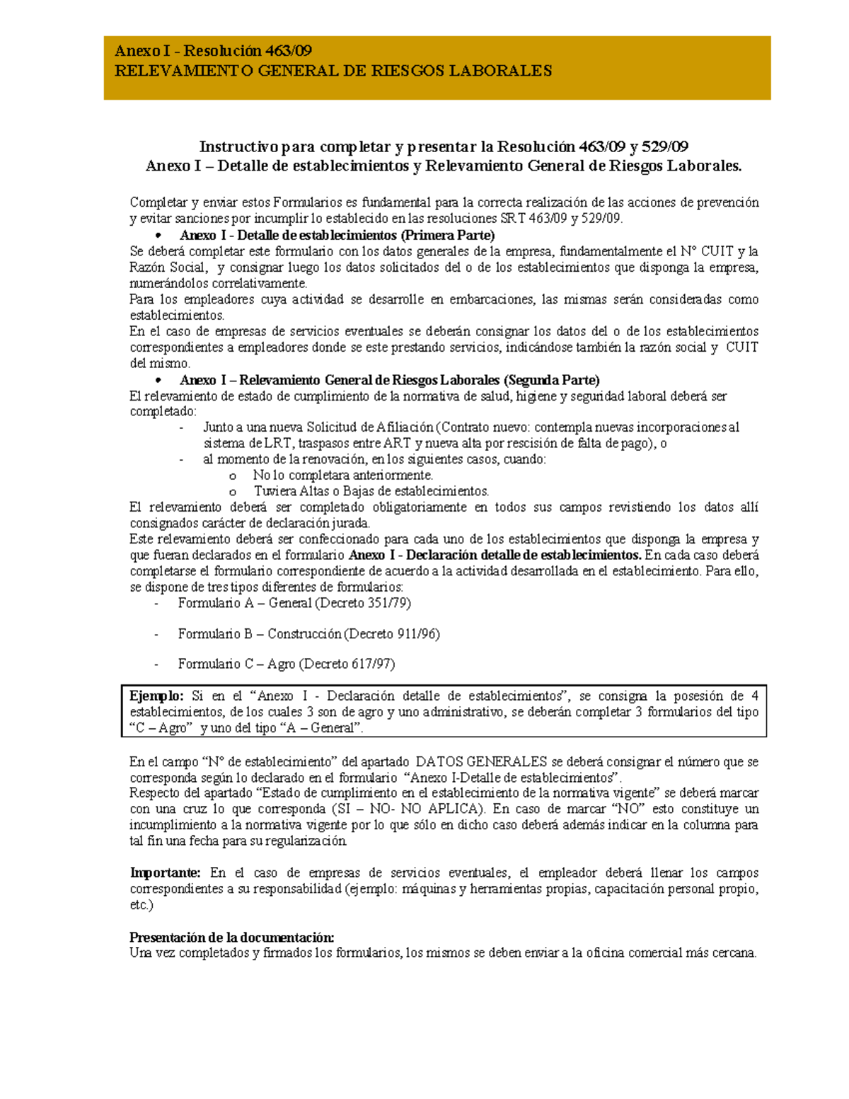 Instructivo Relevamiento Riesgos - Anexo I - Resolución 463 ...