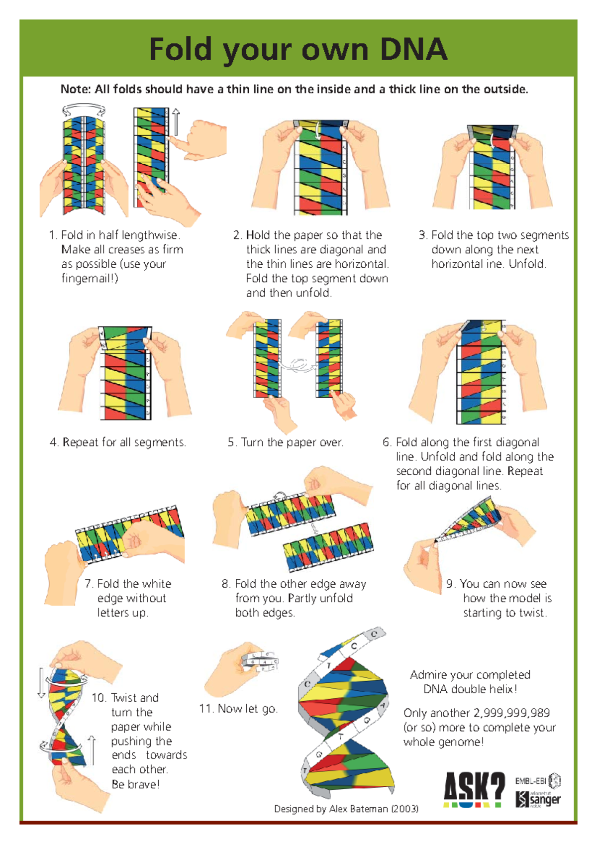 Fold Your Own DNA - fold your own DNA example - Fold your own DNA Note ...