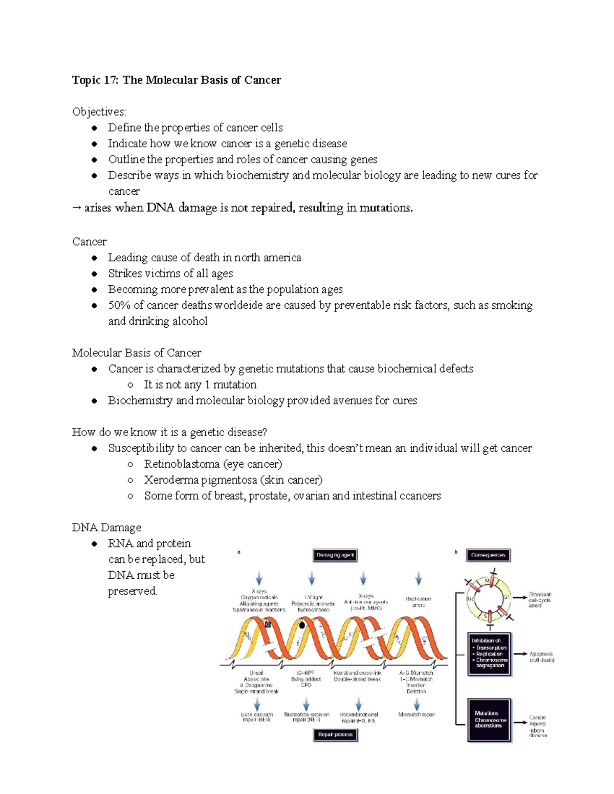 Topic 17 - Topic 17: The Molecular Basis of Cancer Objectives: Define ...