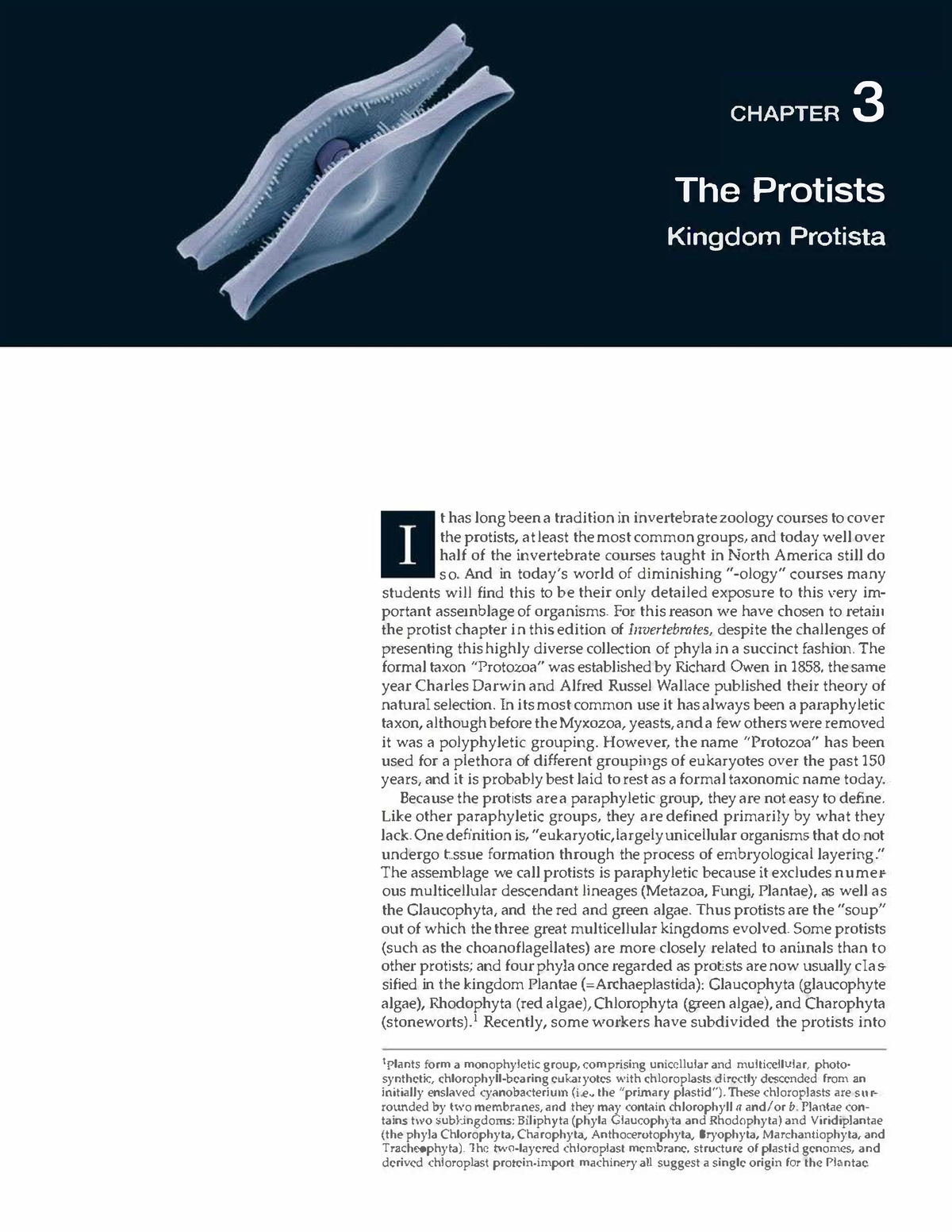 Protistas - Lectura - CHAPTER 3 The Protists Kingdom Protista t has ...