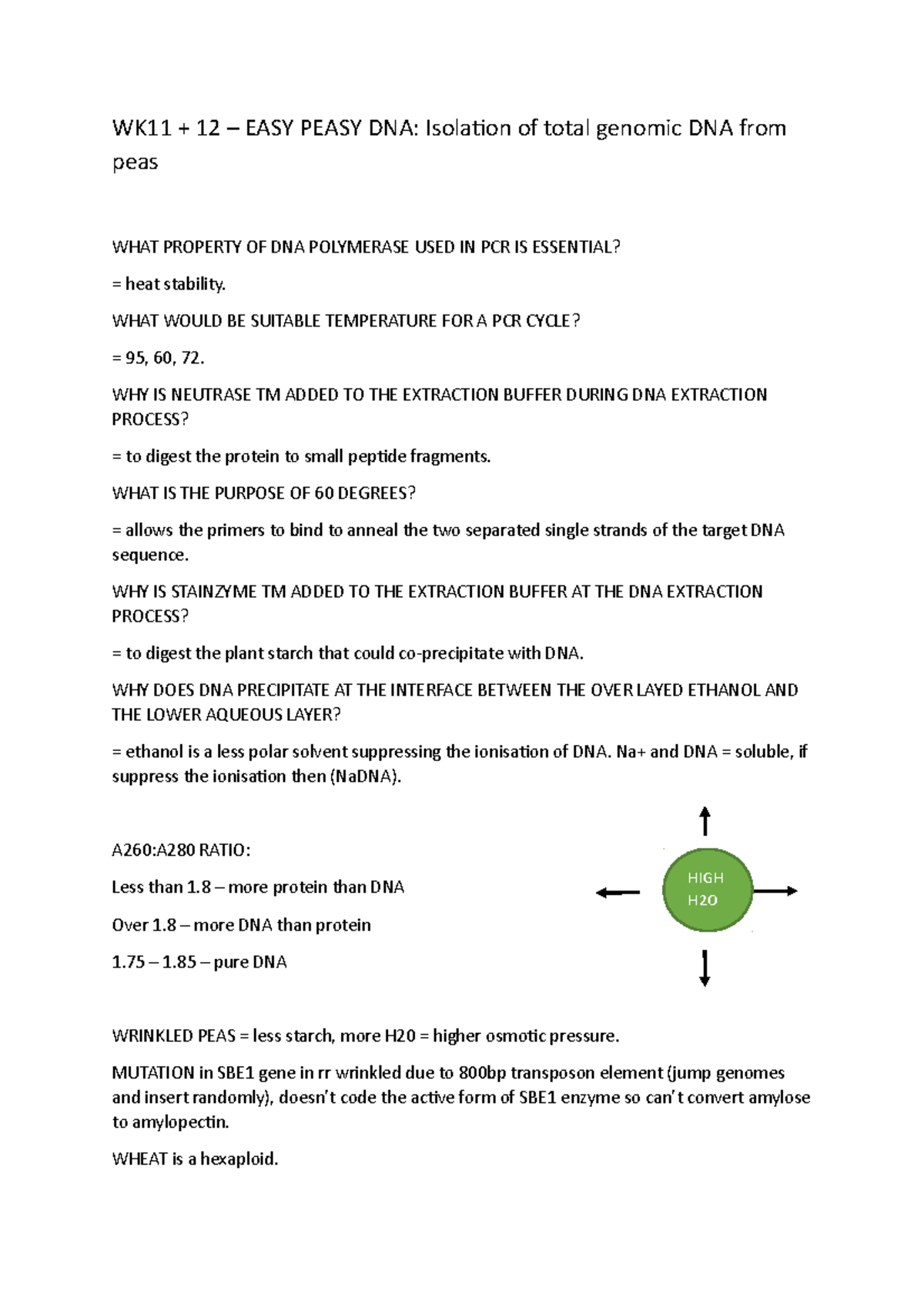 WK11 + 12 - Easy Peasy DNA - WK11 + 12 – EASY PEASY DNA: Isolation of ...