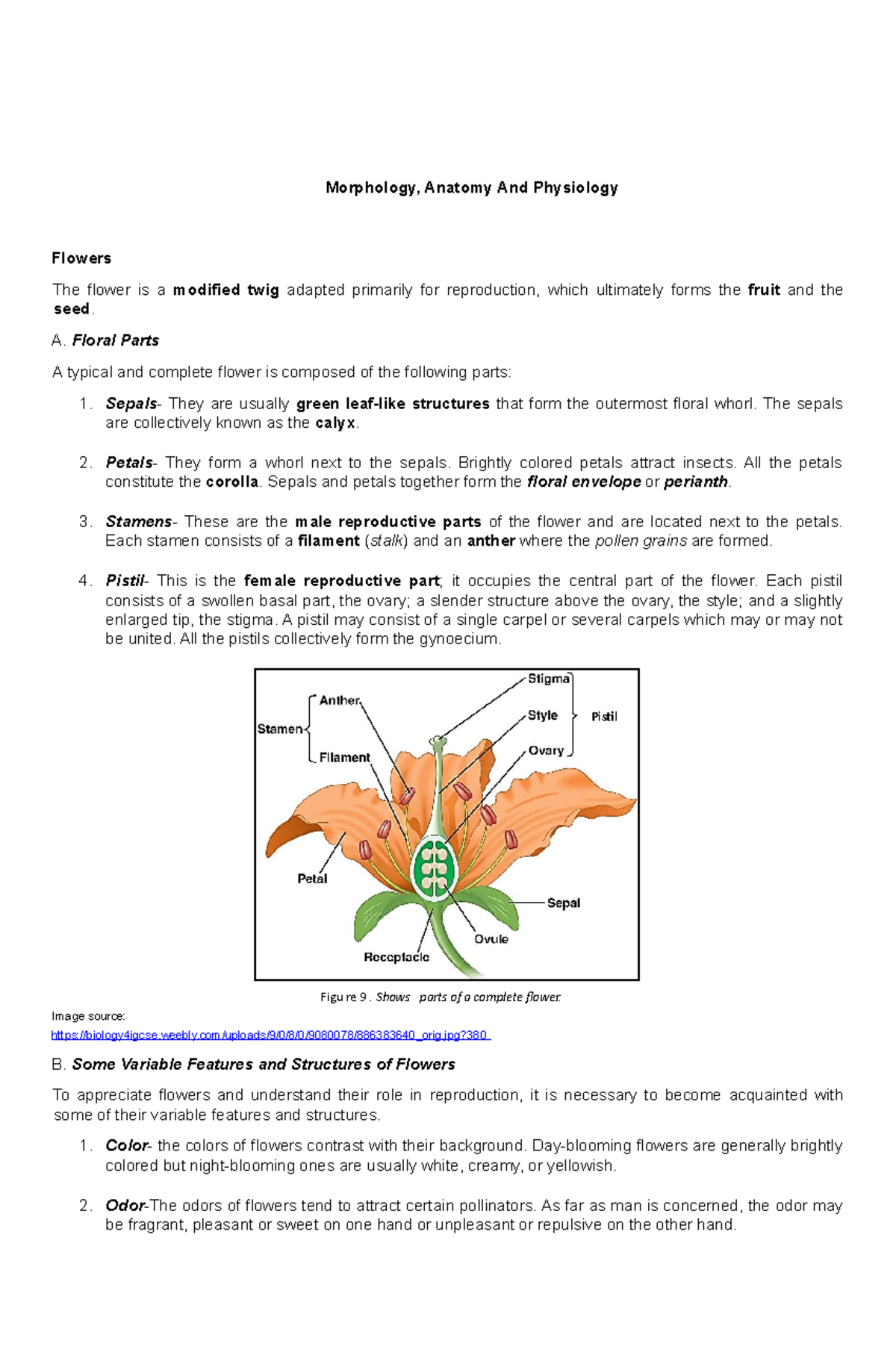 Morphology, Anatomy And Physiology - Morphology, Anatomy And Physiology ...