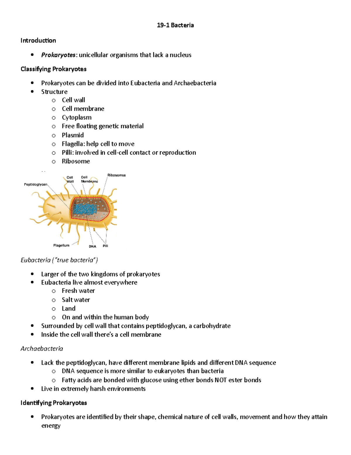 19-1 - its cell bio for grade 11 - 19-1 Bacteria Introduction ...
