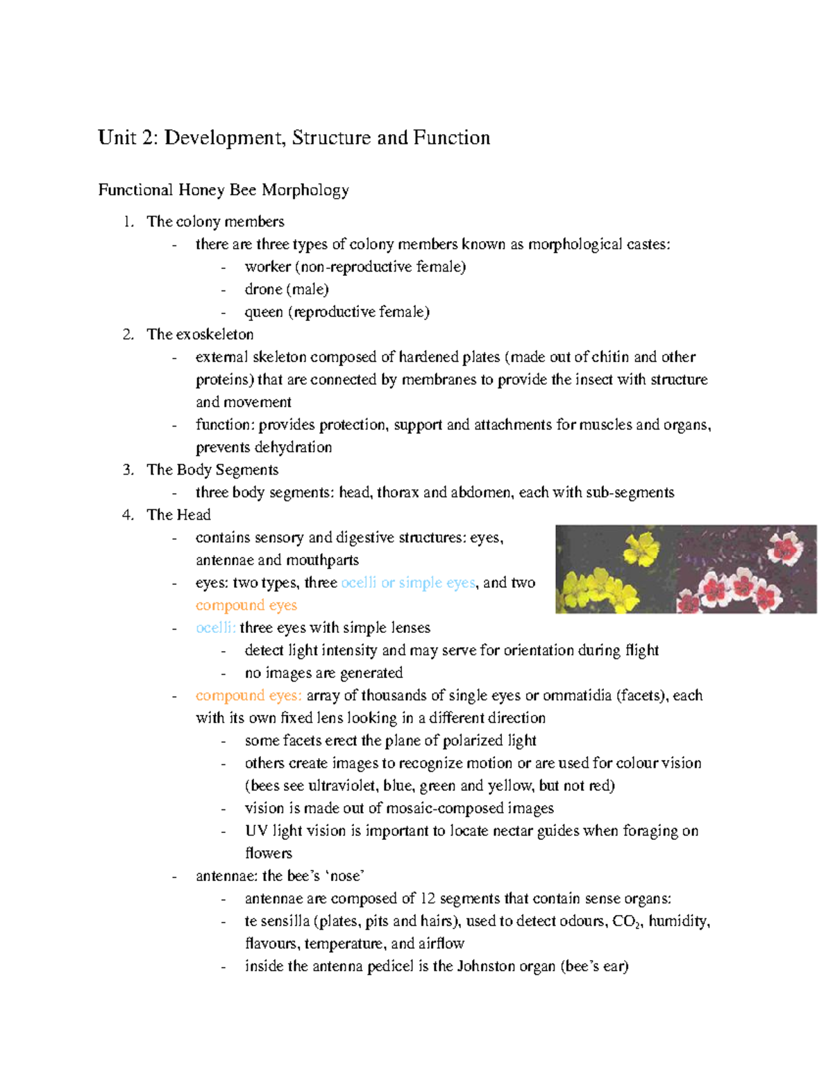 Honey Bee Biology Notes - Unit 2: Development, Structure and Function ...