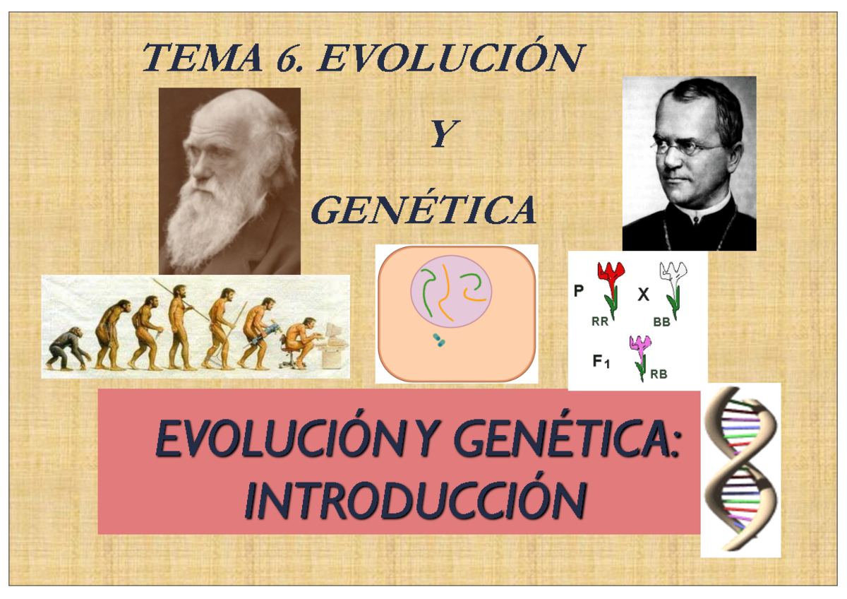 Tema 6. Evolución y Genética (2019-20) - EVOLUCIÓN Y GENÉTICA ...