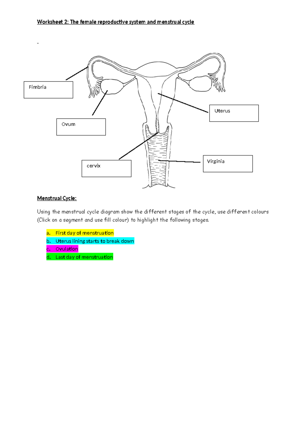 Worksheet 2 female reproductive system - Worksheet 2: The female ...