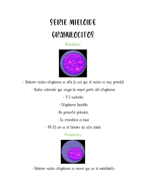 3. Linaje Mieloide - GENERACIÓN DE LAS CÉLULAS SANGUÍNEAS LINAJE ...