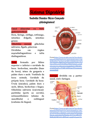 Torax - Exercicios - TORAX 1- Quais estruturas formam o esqueleto do ...