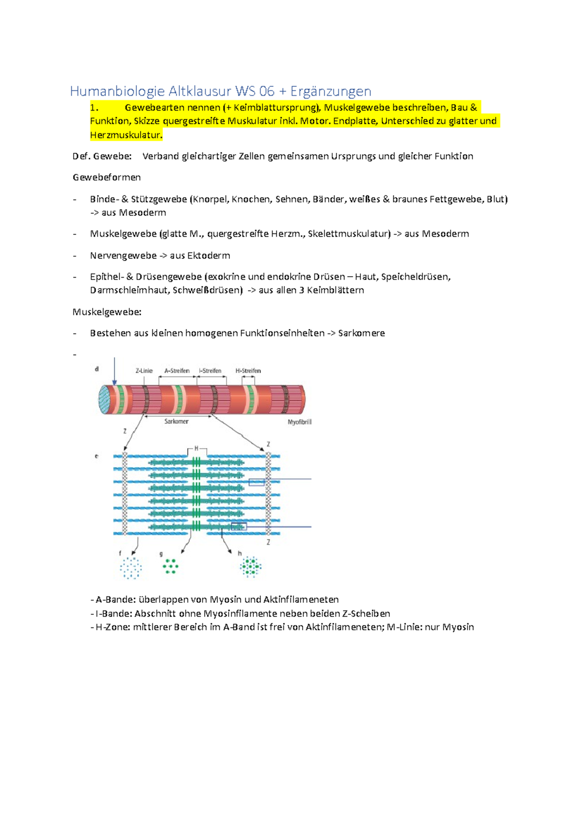 Humanbiologie Altklausur WS 06 - Motor. Endplatte, Unterschied zu ...