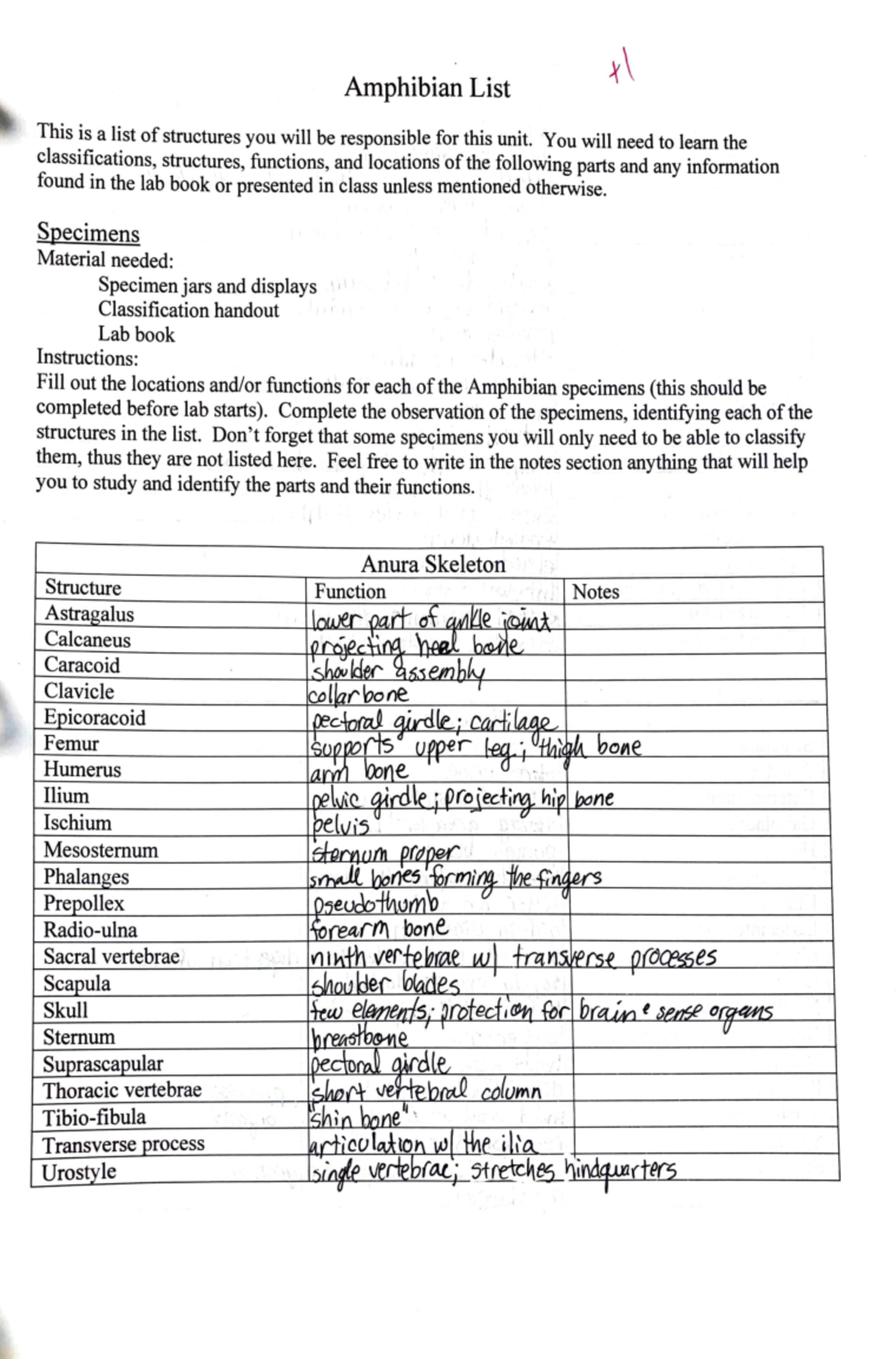 Zoology BIOL-1413 Amphibian Lab List - Amphibian List This is a list of ...