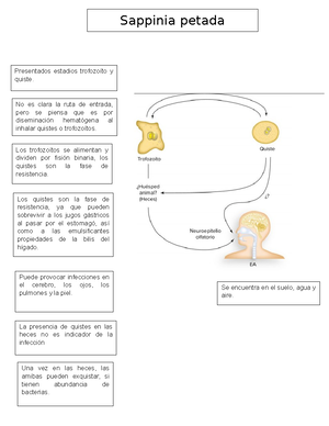 Practica 6 - metodos de concentracion por sedimentacion - Instituto de ...