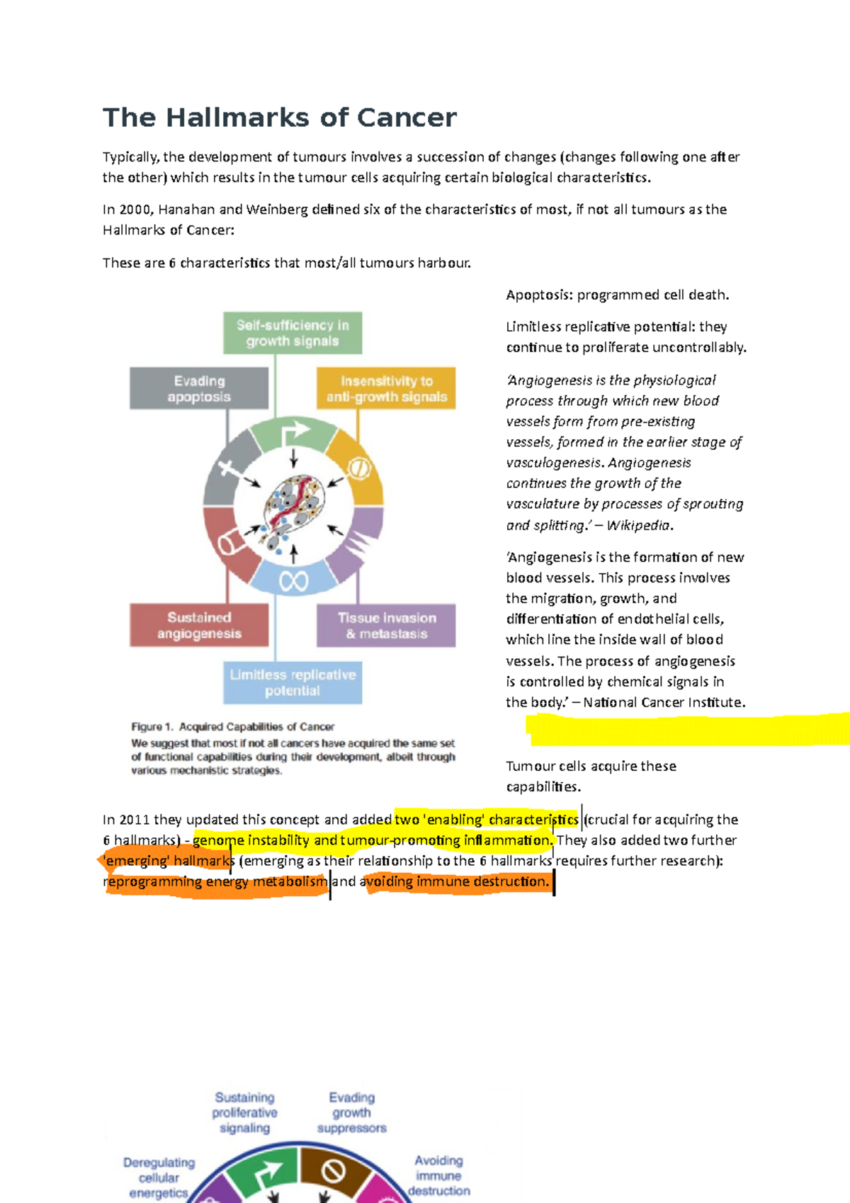 The Hallmarks of Cancer Notes Cancer - The Hallmarks of Cancer ...