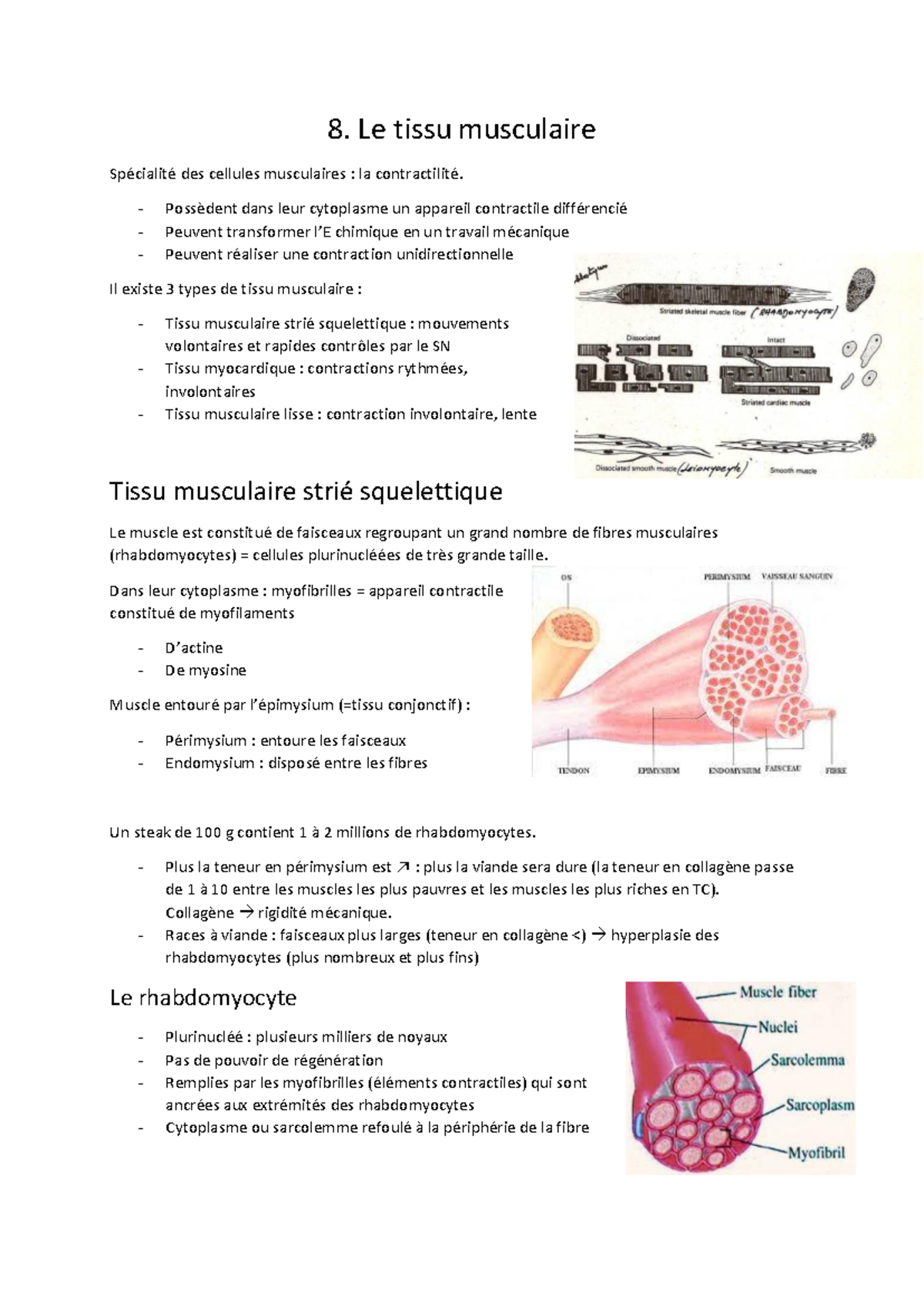 Résumé - complet - tissu musculaire - Warning: TT: undefined function: 22 Warning: TT: undefined ...