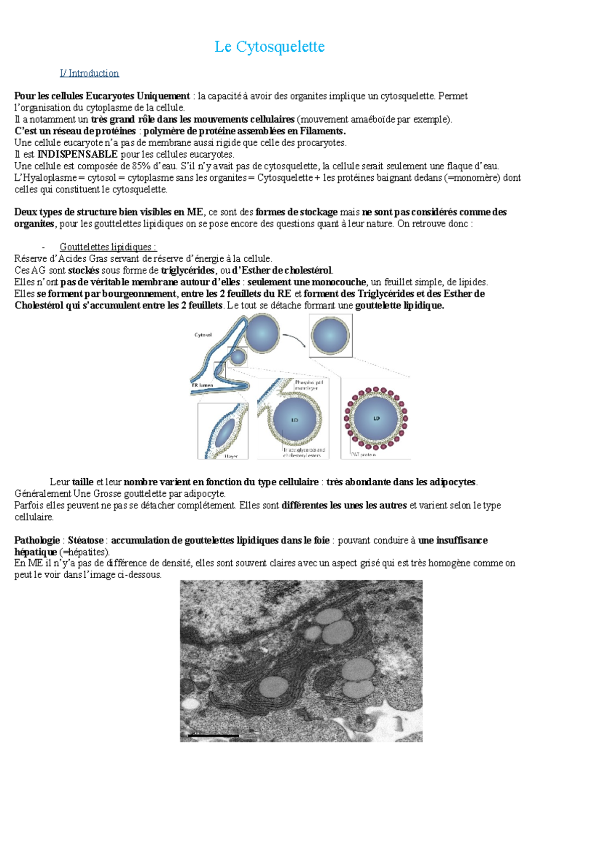 Le Cytosquelette - Permet l’organisation du cytoplasme de la cellule a ...