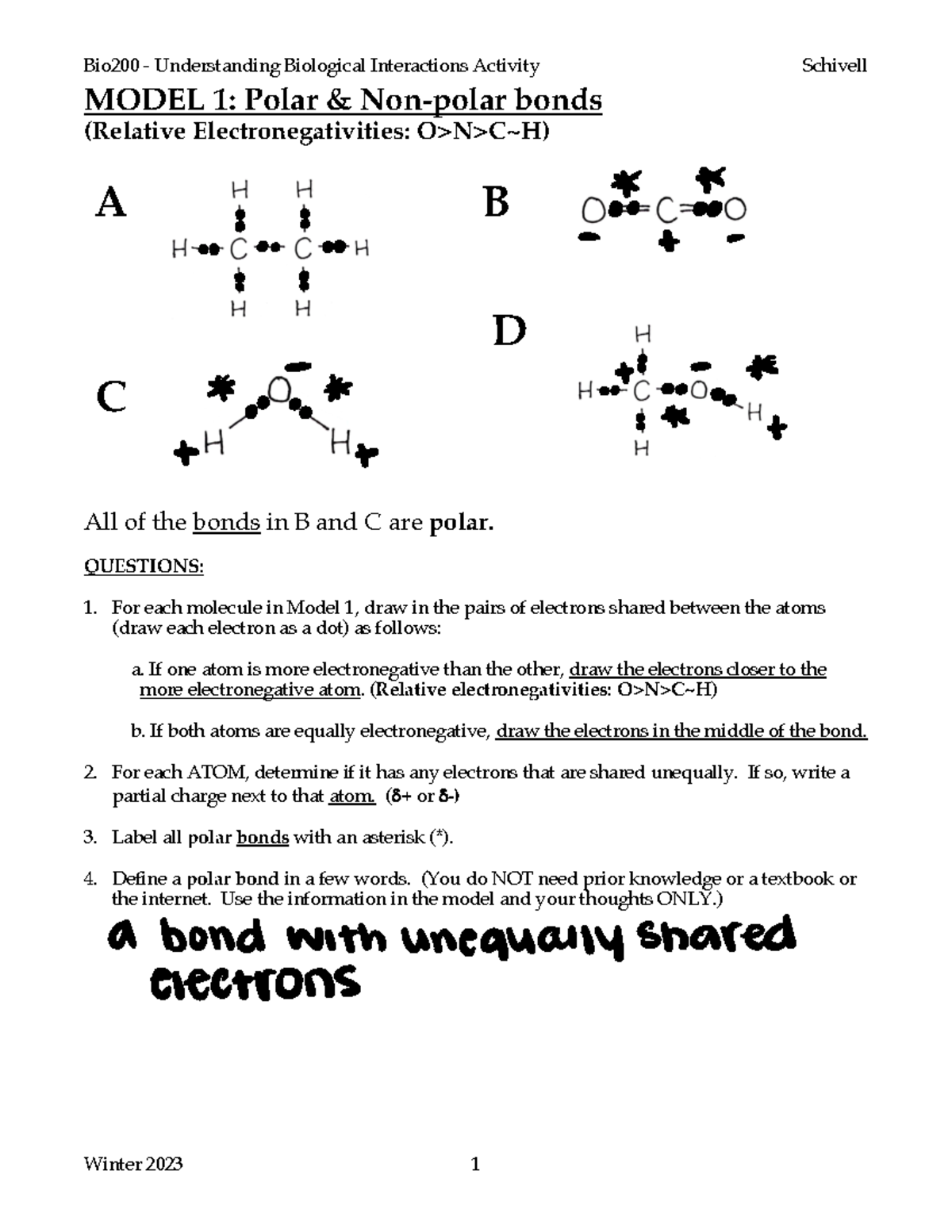 Pogil 1 Understanding Biological Interaction - MODEL 1: Polar & Non ...