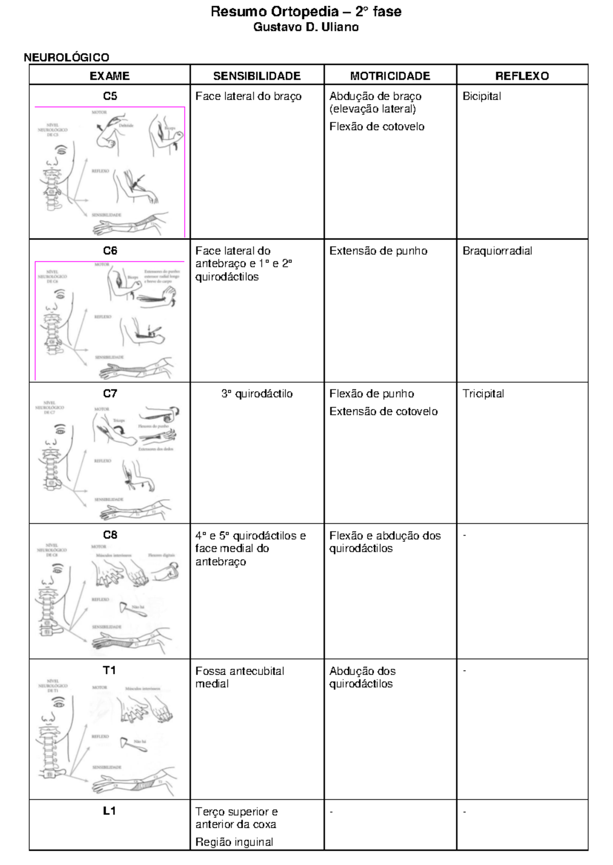 Resumo monitor orto - Resumo Ortopedia – 2° fase Gustavo D. Uliano NEUROLÓGICO EXAME ...