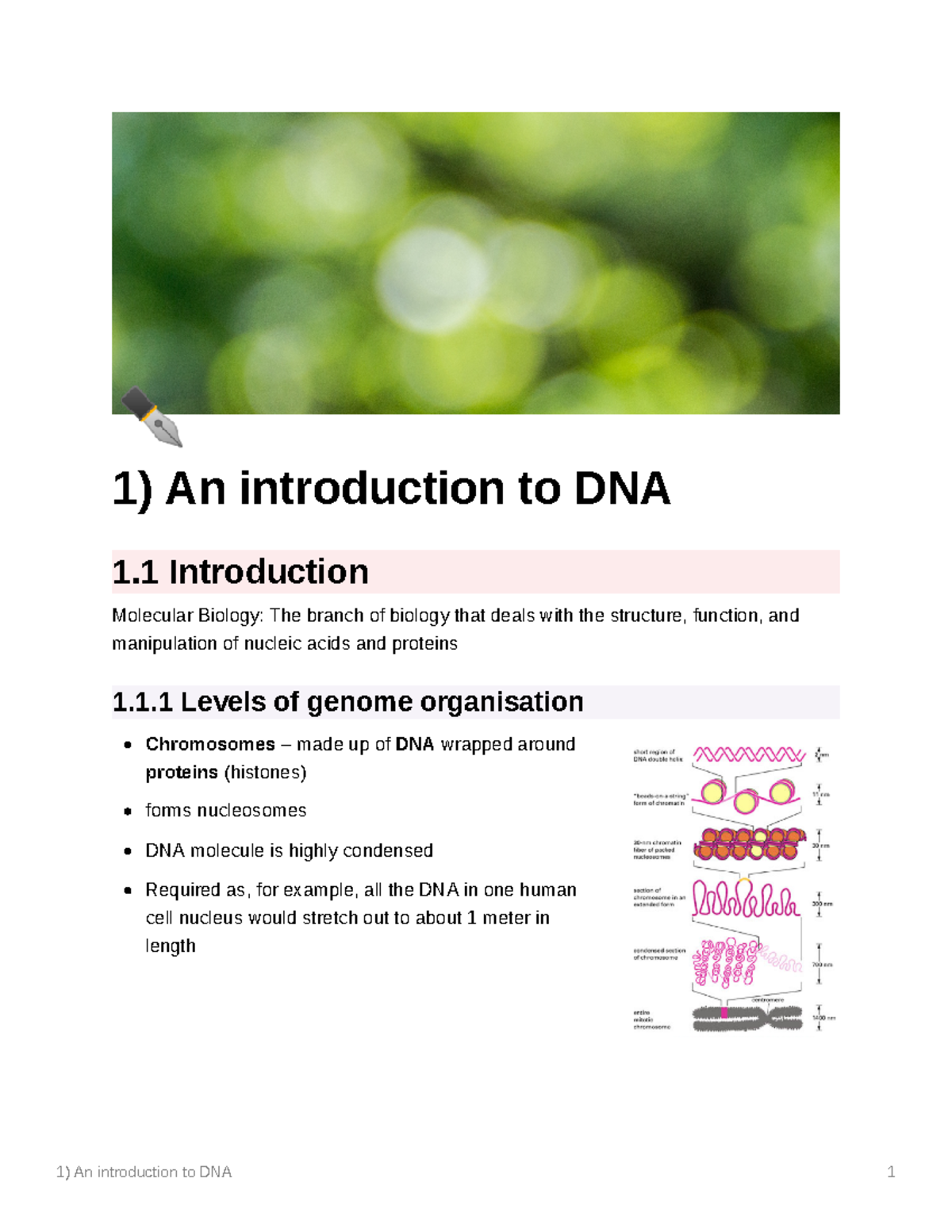 Introduction to DNA - 1) An introduction to DNA 1 Introduction ...