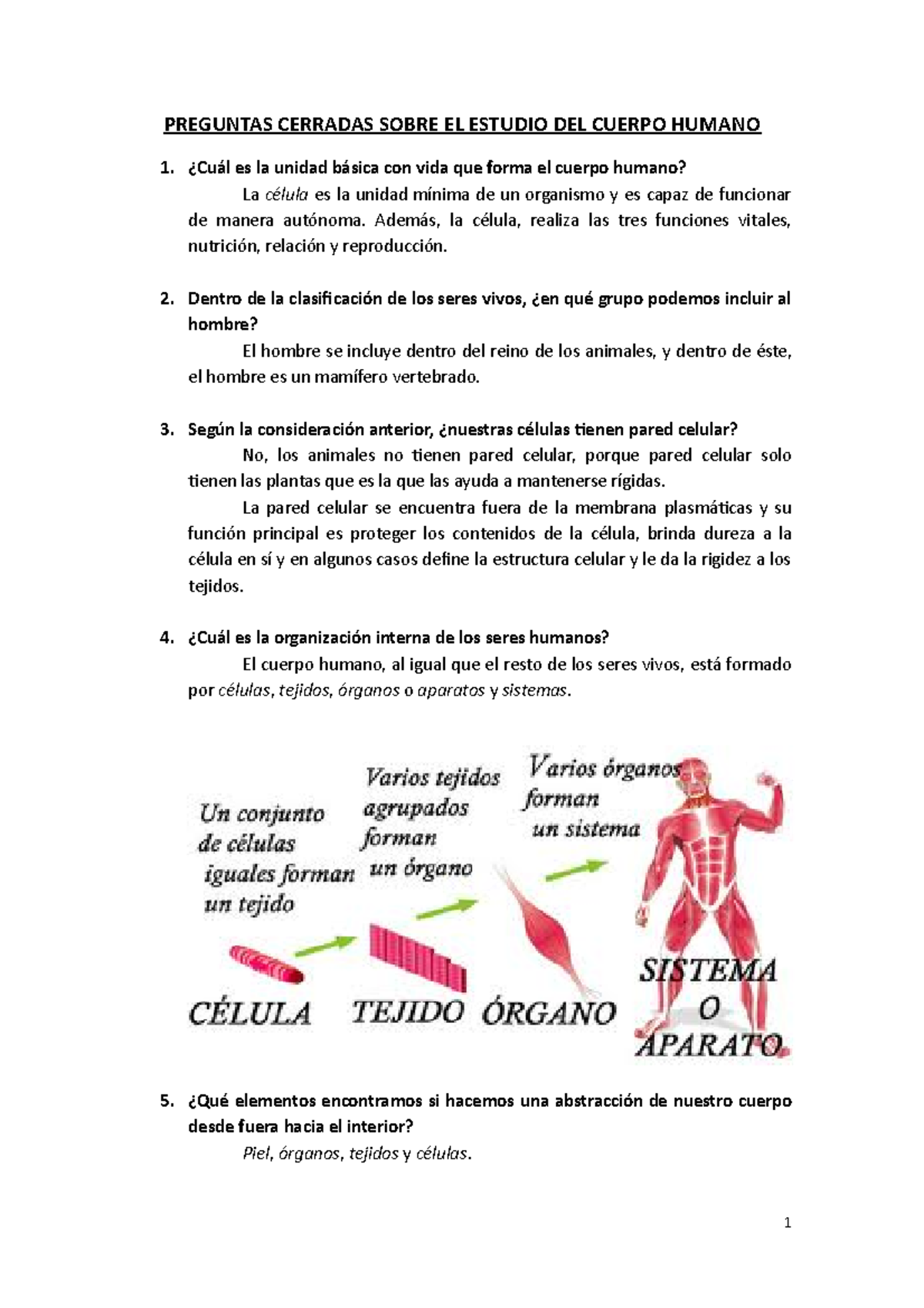 EL Cuerpo Humano Resueltas - PREGUNTAS CERRADAS SOBRE EL ESTUDIO DEL CUERPO HUMANO ¿Cuál es la ...