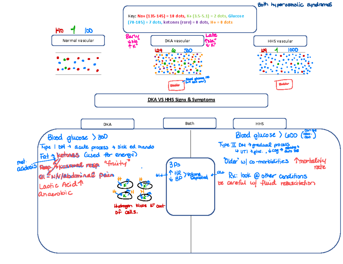 DKA+HHS+Gingerbread+maps - DKA VS HHS Signs & Symptoms Normal vascular ...