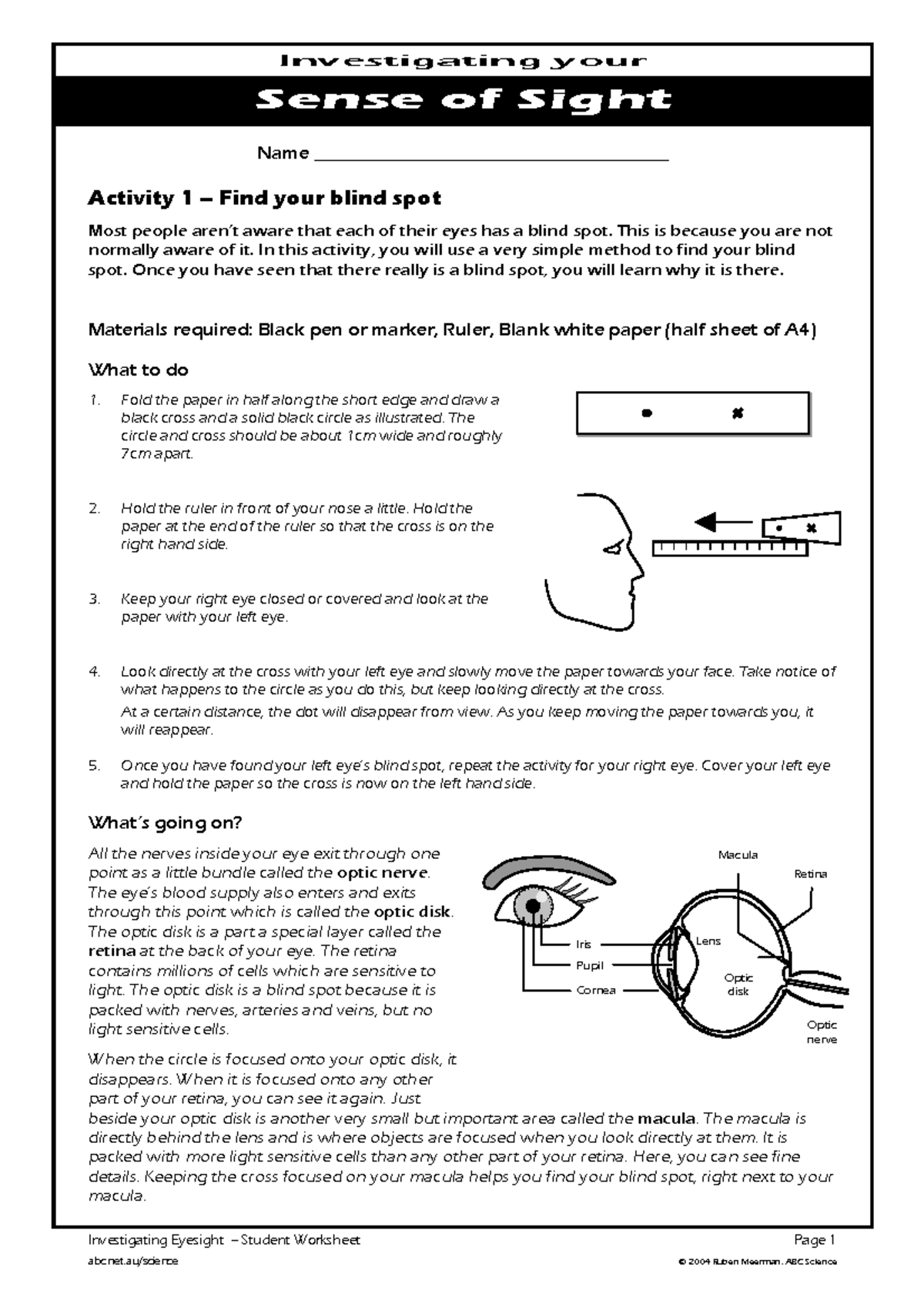 Lesson 3 eyesight student worksheet - Investigating Eyesight ñ Student ...