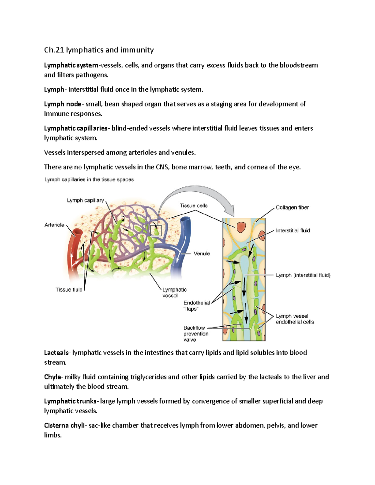 Lymphatics and immunity - Ch lymphatics and immunity Lymphatic system ...