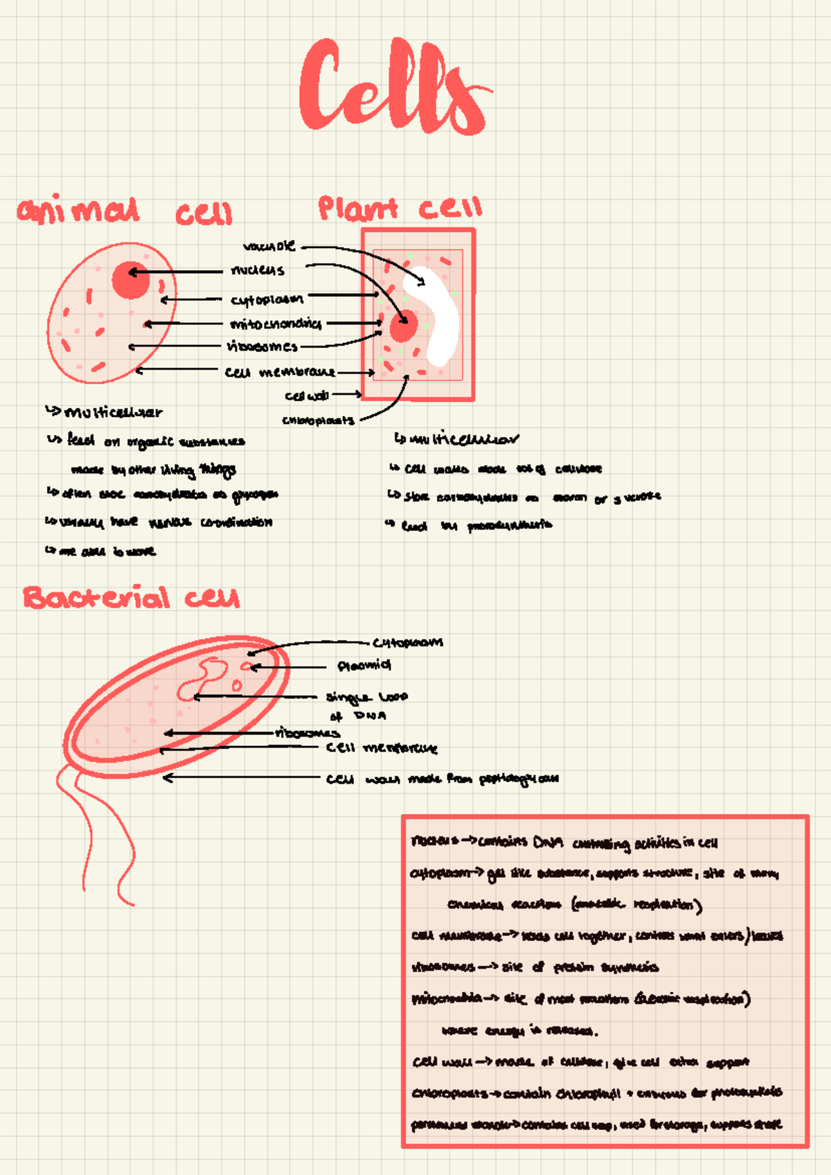 Suokpdmhppcerausbcih - Cells animal cell Plant cell vacuole ' NBA ...