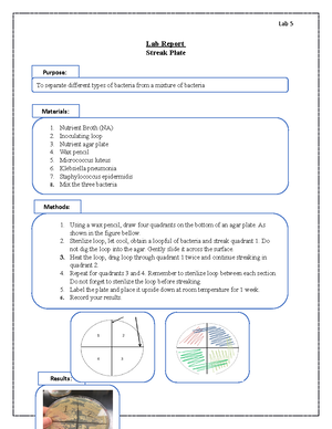 Lab 3 report - MICROSCOPIC OBSERVATION OF BACTERIA USING THE SIMPLE ...