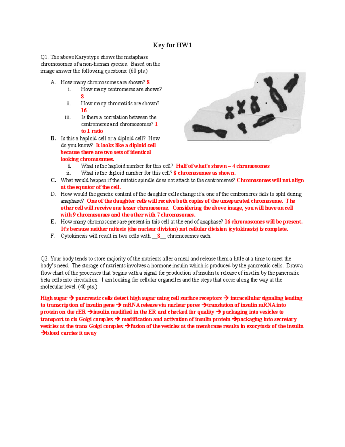 Answer Key for HW1 - Key for HW Q1. The above Karyotype shows the ...