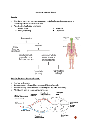 Dental Anxiety tutorial APM 2021-2022 - Anxiety and Pain Management ...