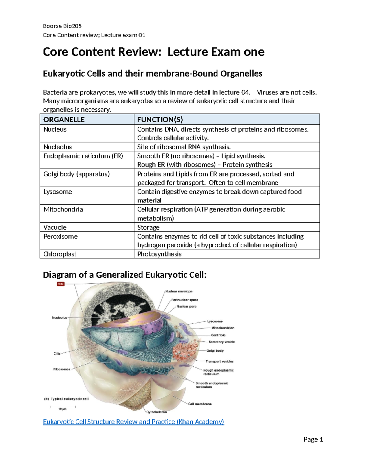 Exam 01 - Summary Microbiology - Core Content review; Lecture exam 01 ...