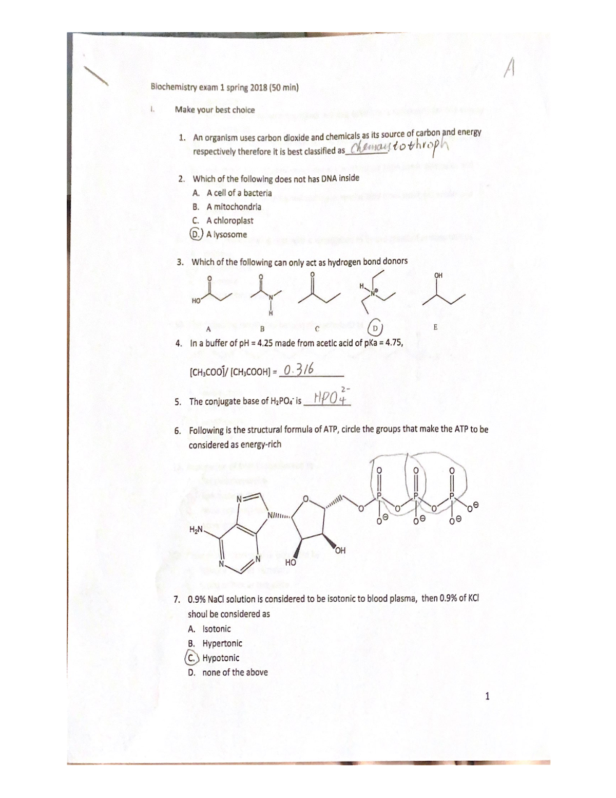Biochemistry review sheet - CHEM 4033 - Studocu