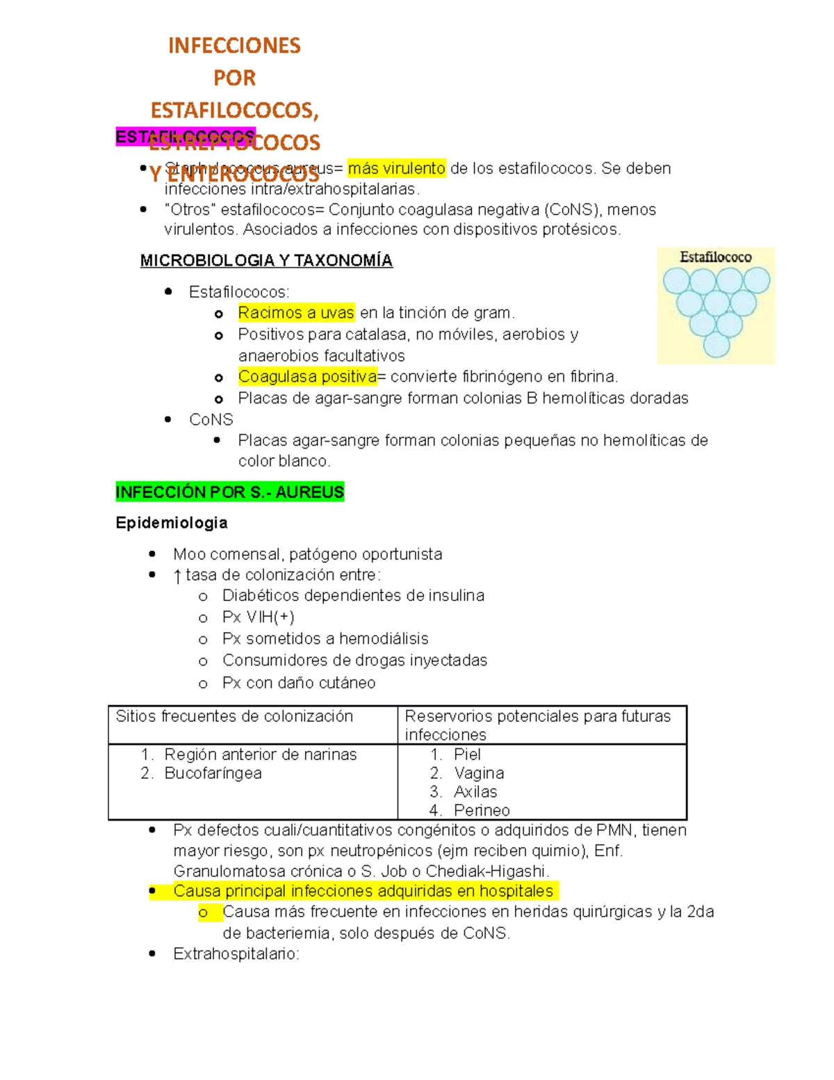2. Infecciones Estafilococos, Estreptococos, Enterococos ...