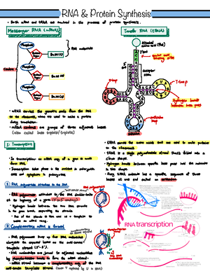 [Solved] Signaling pathways within multicellular organisms typically ...