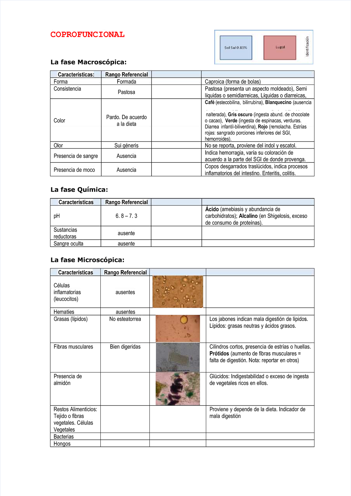 Pdf-copro-funcional compress - COPROFUNCIONALCOPROFUNCIONAL La fase ...