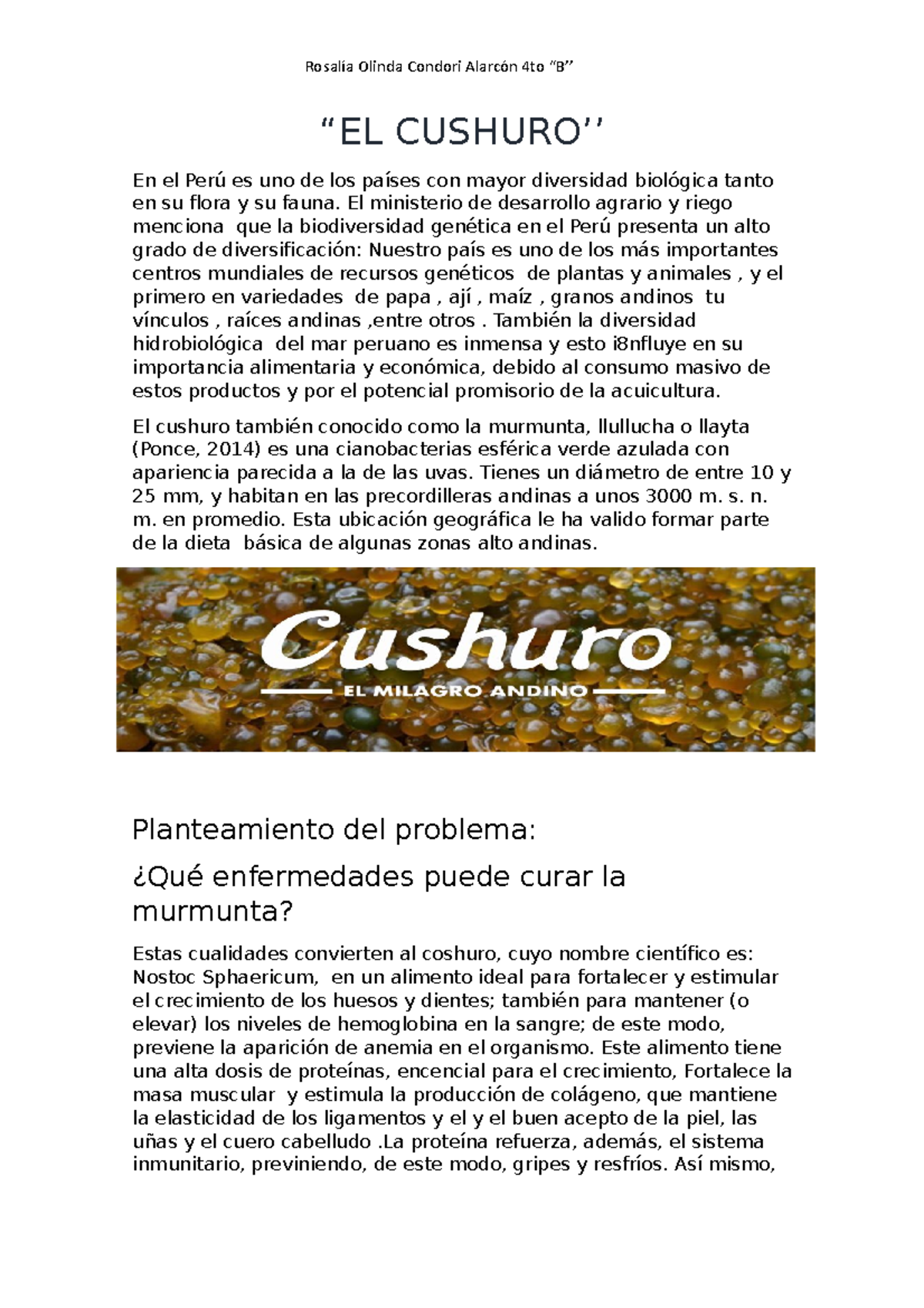El cushuro - bnghmhj, hj - Rosalía Olinda Condori Alarcón 4to “B’’ “EL ...