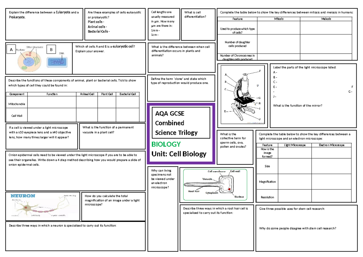 AQA GCSE Combined Science Trilogy Cell Biology Revision Sheet - BIOLOGY ...