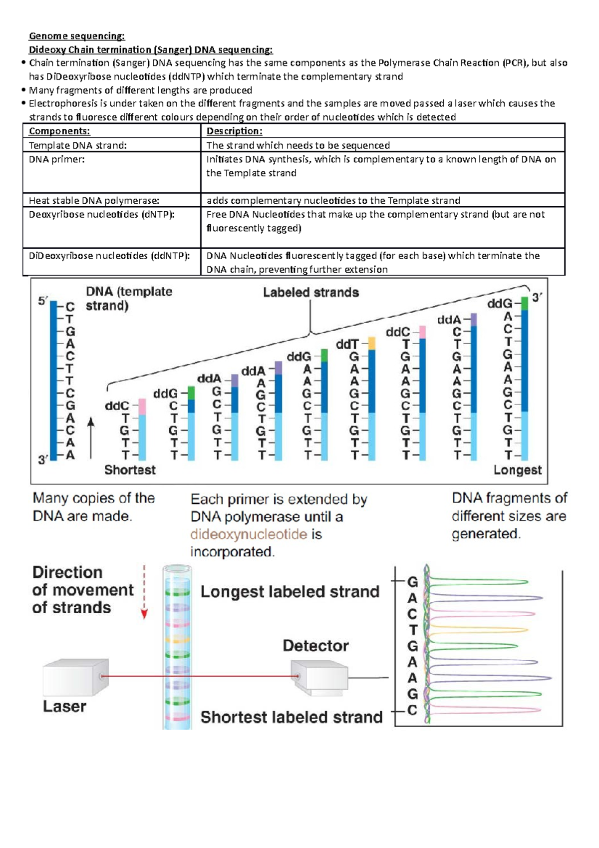 CELS 191 - Lecture 29 (Sequencing Human Genomes How and why) - Genome ...