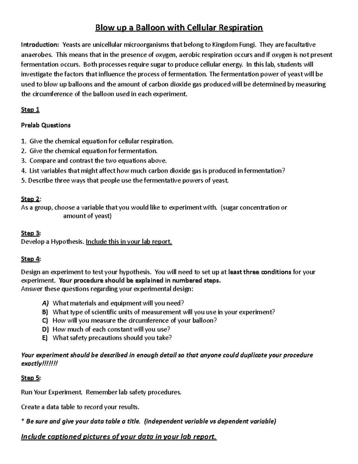 Blow up a Balloon with Cellular Respiration - Blow up a Balloon with ...