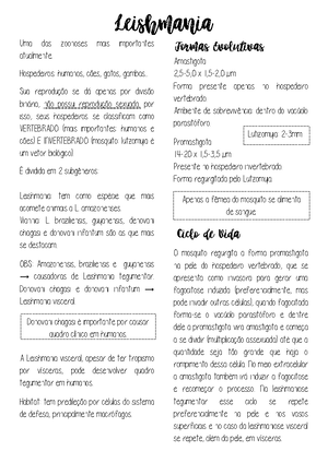 Pulgas resumo - Warning: TT: undefined function: 32 Warning: TT: undefined function: 32 PULGAS ...