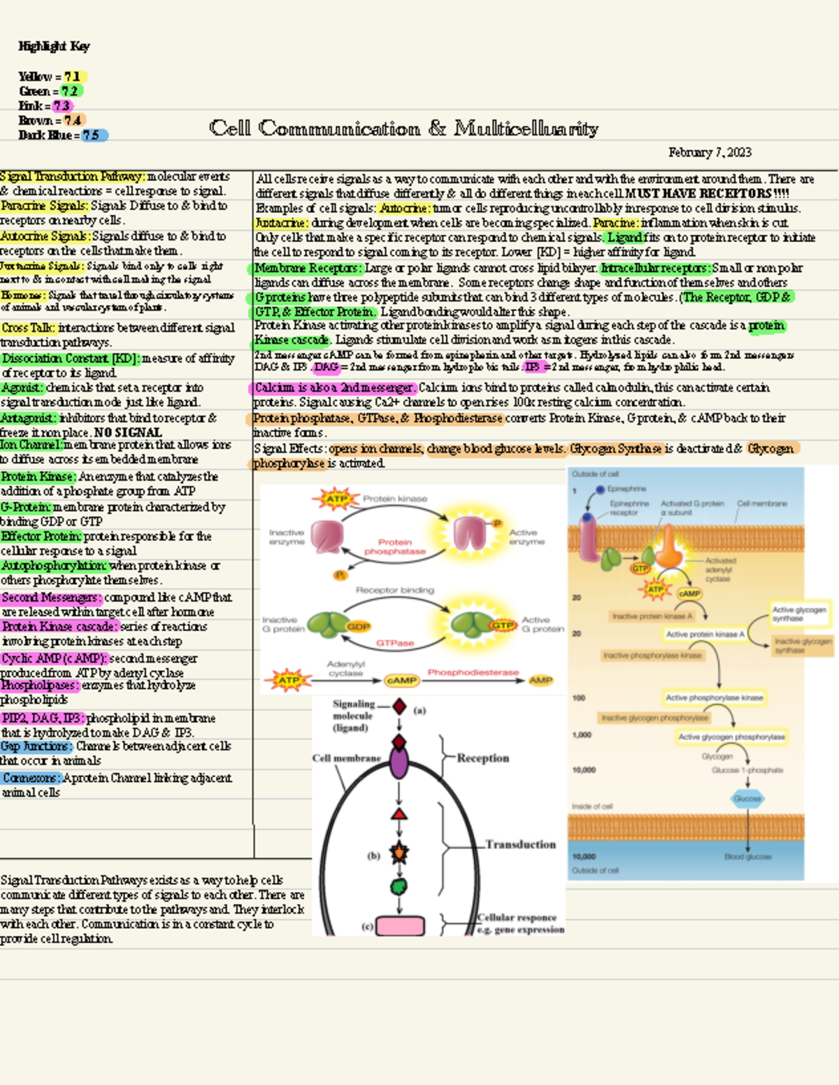 Cell - Lecture notes - Cell Communication & Multicelluarity Signal ...
