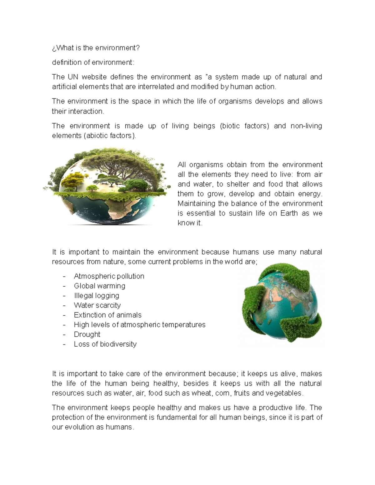 What is the environment - ¿What is the environment? definition of ...