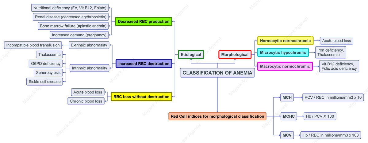Anemia classification - CLASSIFICATION OF ANEMIA Morphological ...