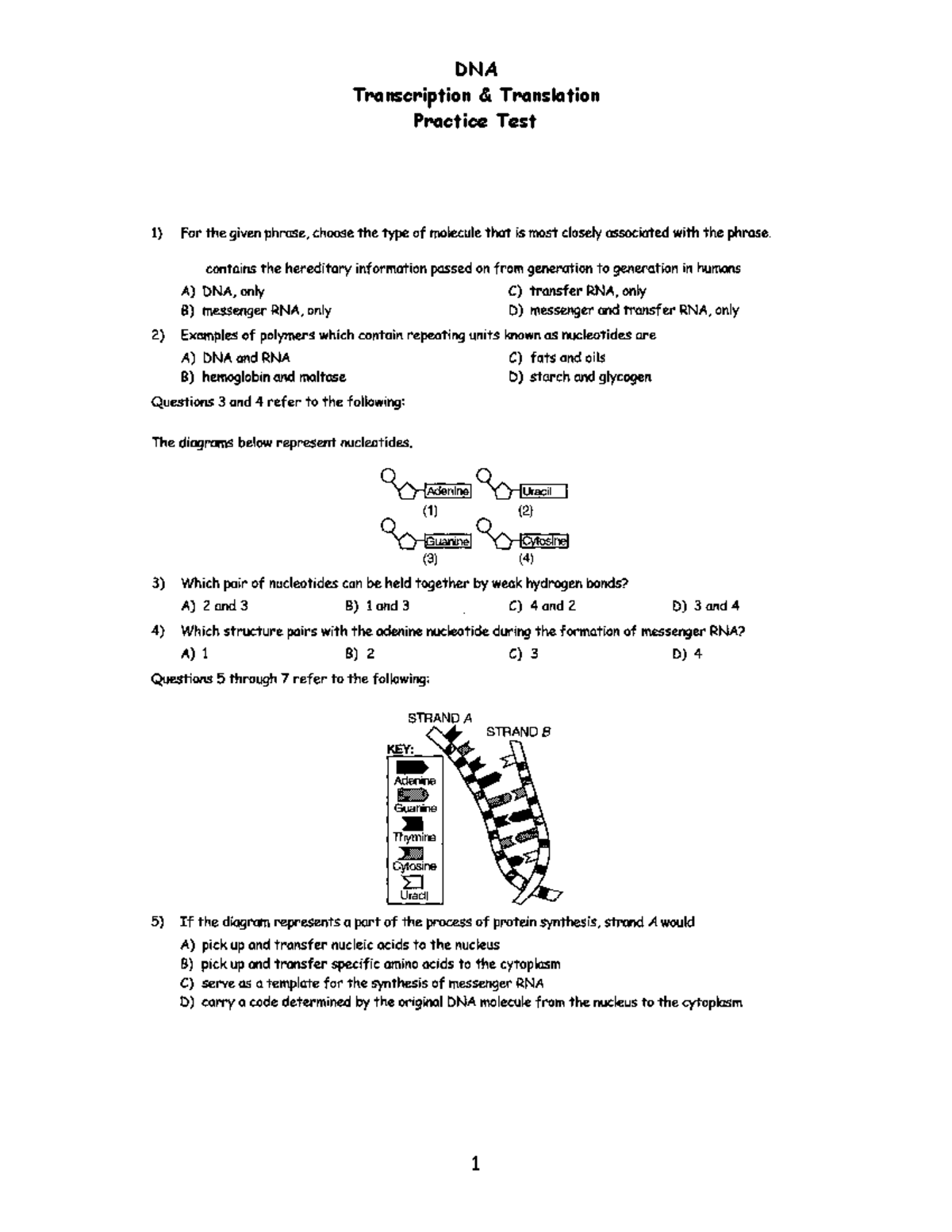 Transcription/Translation Practice - Transcription & Translation ...