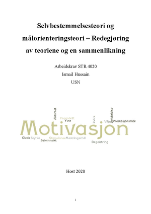 Liv strand - Opsummering af Liv Stands 2 kapitler om hvad psykose er og ...