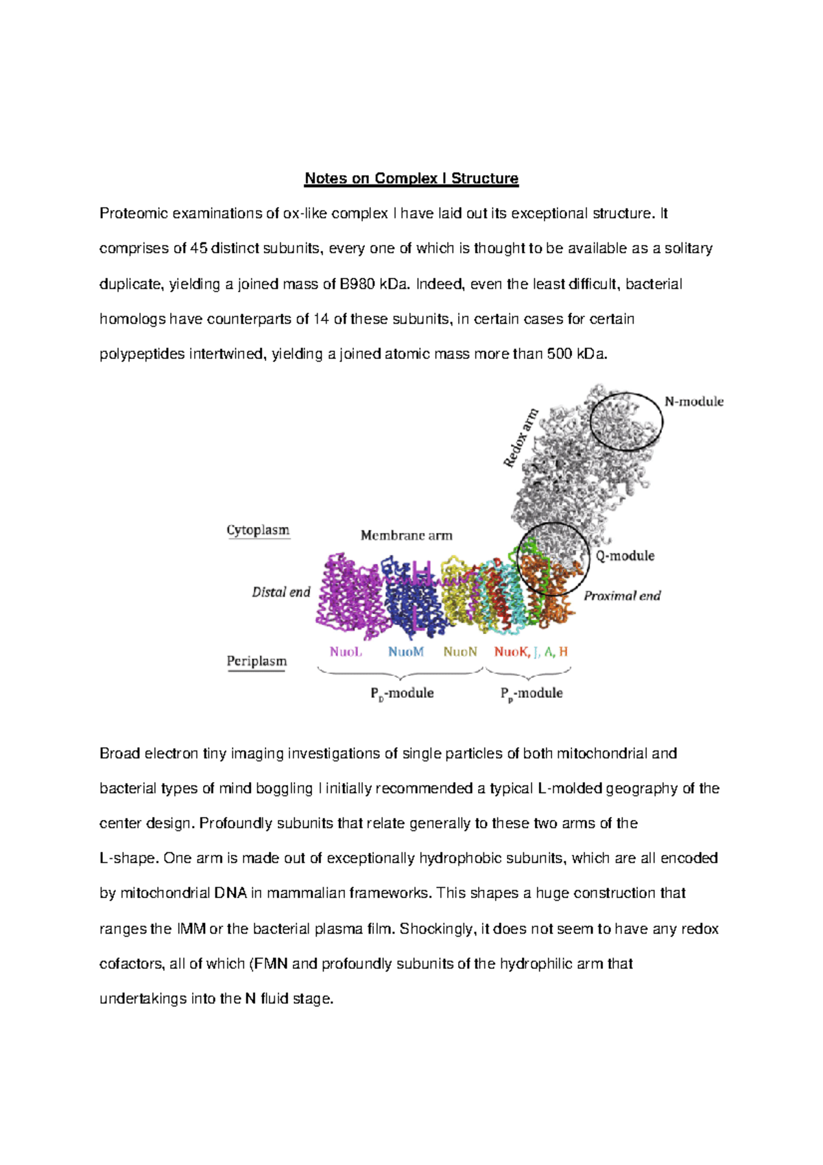 Notes on Complex I Structure - Notes on Complex I Structure Proteomic ...