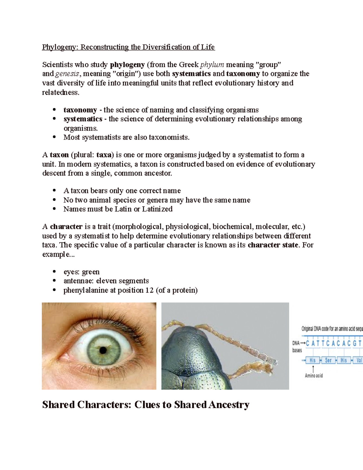 Lecture 6 - Phylogeny: Reconstructing the Diversification of Life Scientists who study phylogeny ...