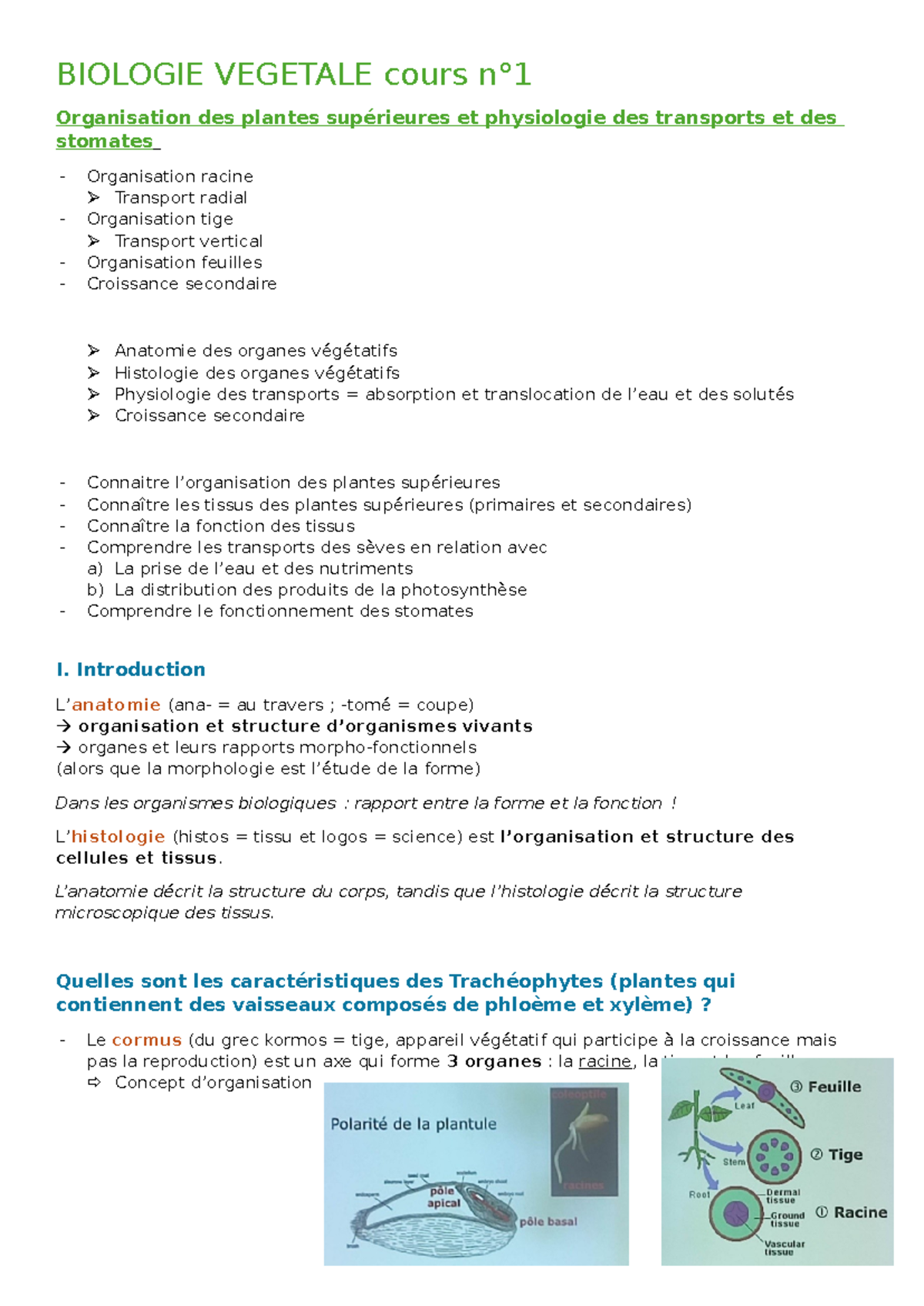 Biologie végétale cours n°1 - BIOLOGIE VEGETALE cours n° Organisation ...