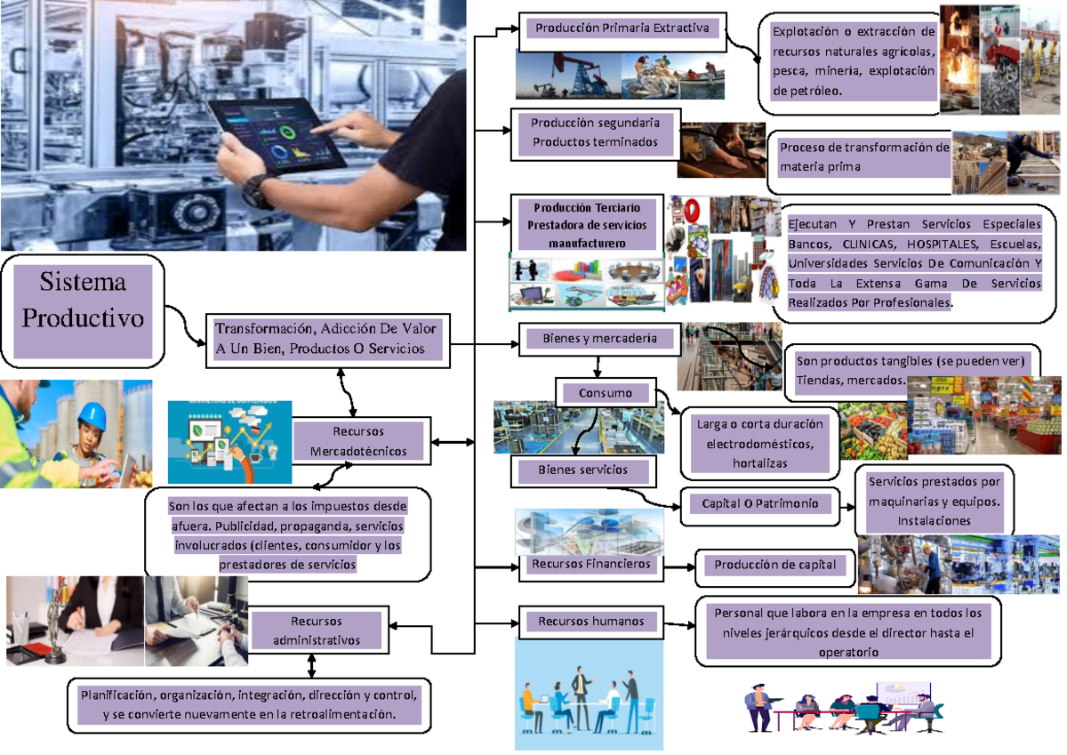 Infografia de produccion eukarys - Producción Primaria Extractiva ...