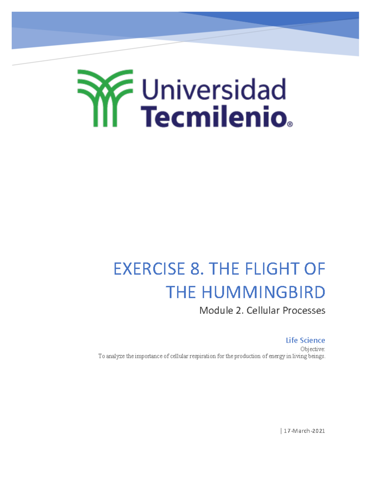 Exercise 8 LIFE Science - EXERCISE 8. THE FLIGHT OF THE HUMMINGBIRD ...